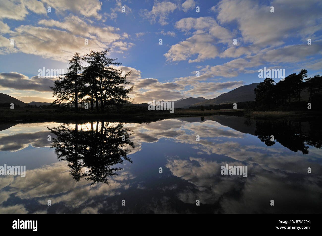 Silhouetted pine trees cloud reflections in Loch Tulla Rannoch Moor ...