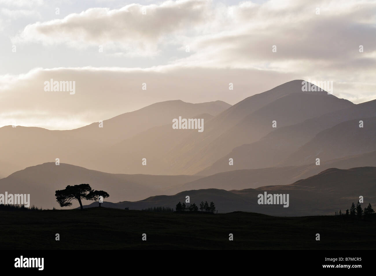 Backlit trees and hill ridges around the western rim of Rannoch Moor ...