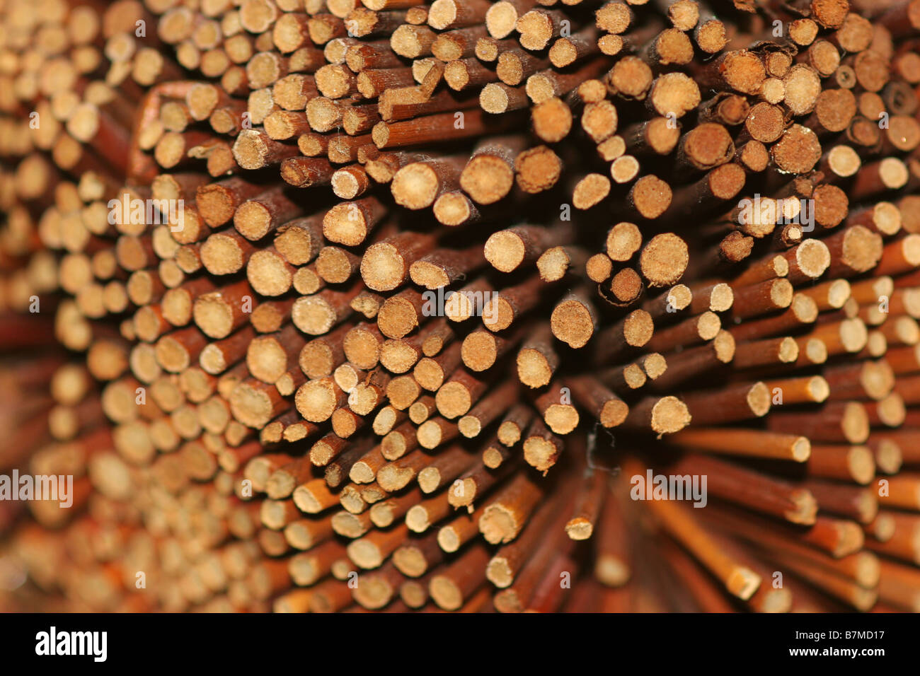 Many sticks hi-res stock photography and images - Alamy