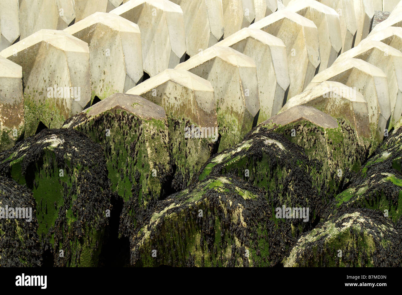 Man made coastal flood defenses Stock Photo - Alamy