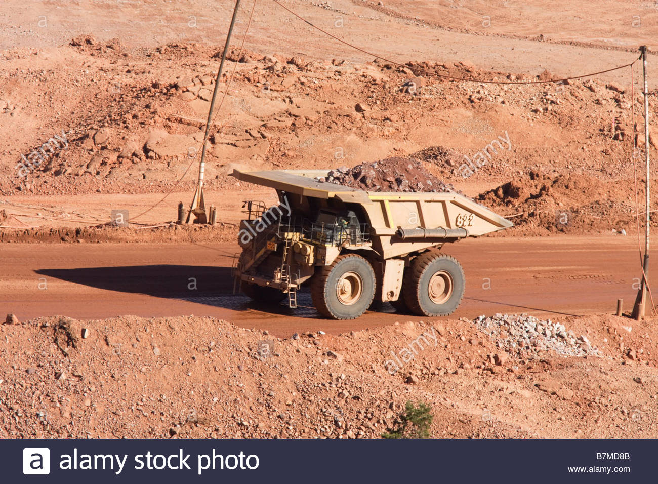 Cat 240 High Resolution Stock Photography and Images - Alamy