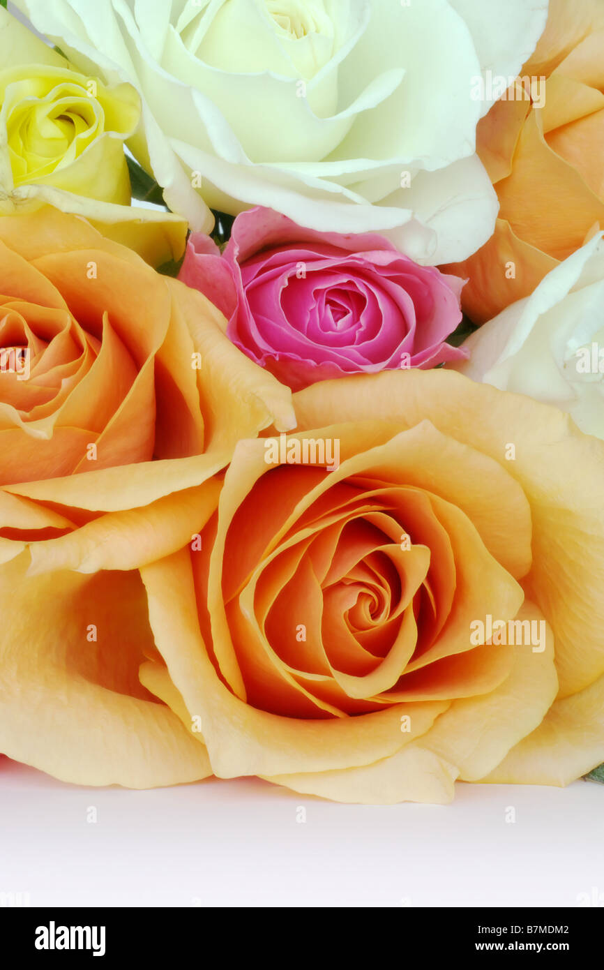 Assorted rose bouquet Stock Photo - Alamy
