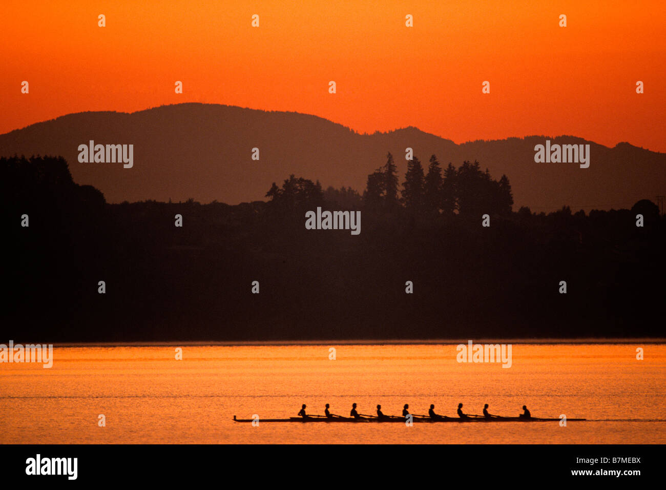 Silhouette of men s eights rowing team in action Stock Photo - Alamy