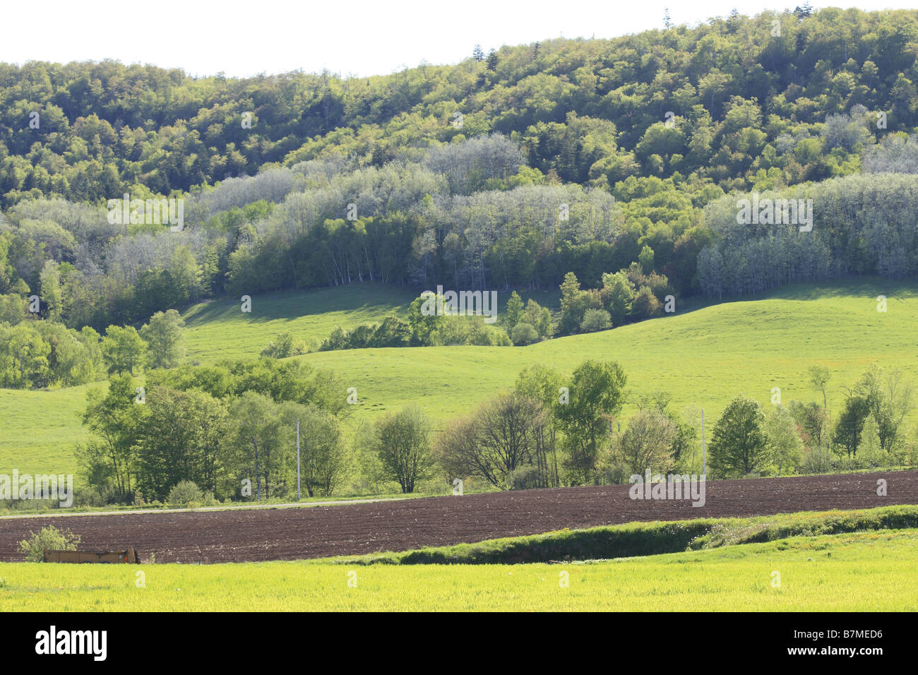 the annapolis valley of nova scotia canada showing the north mountain ...