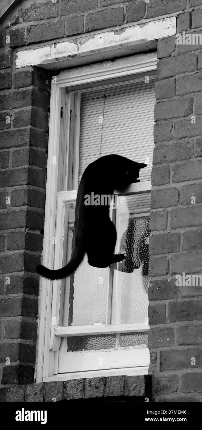 Climb through window Black and White Stock Photos & Images - Alamy