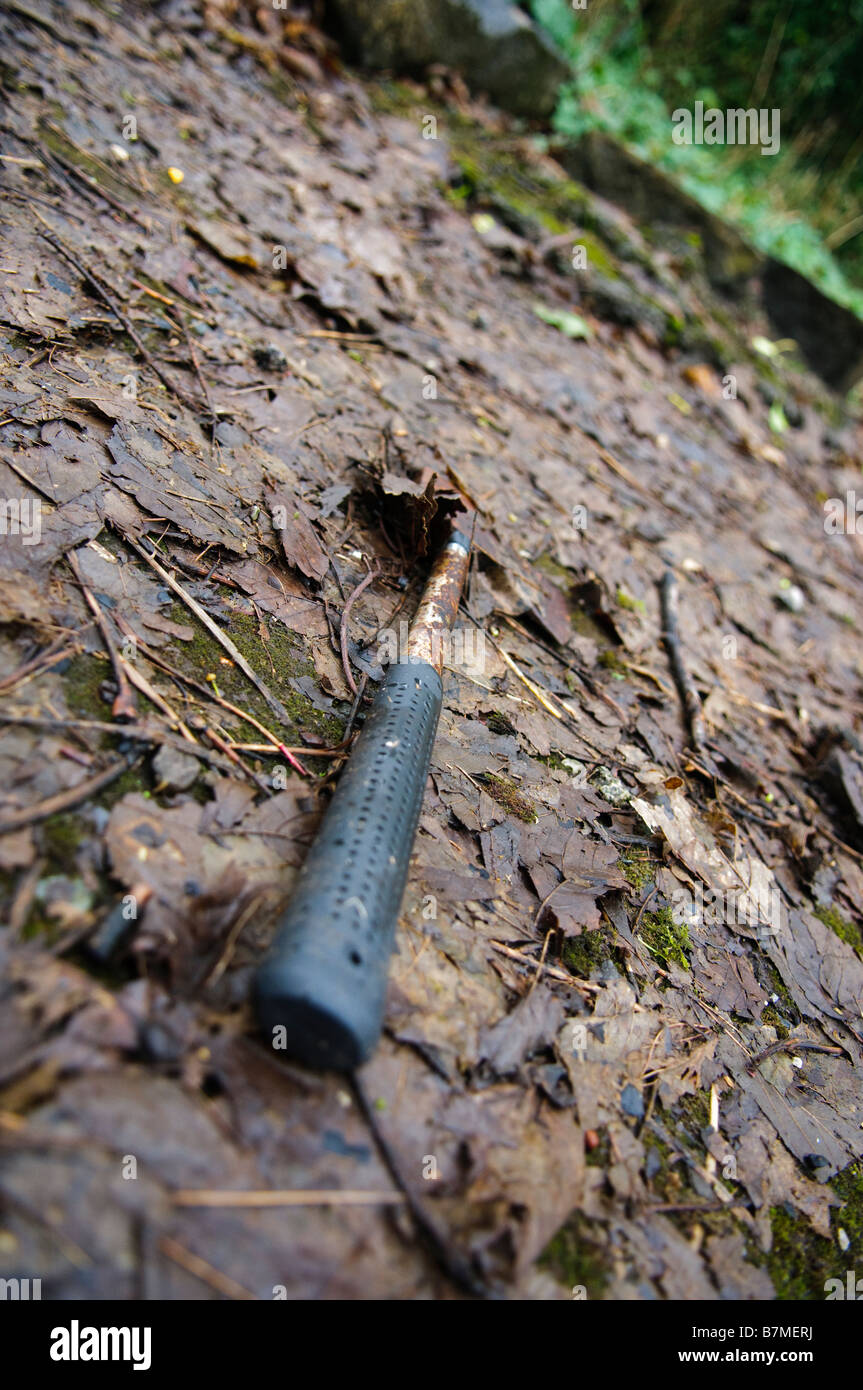 Rusty hatchet lying on ground covered in leaves in the rain Stock Photo ...