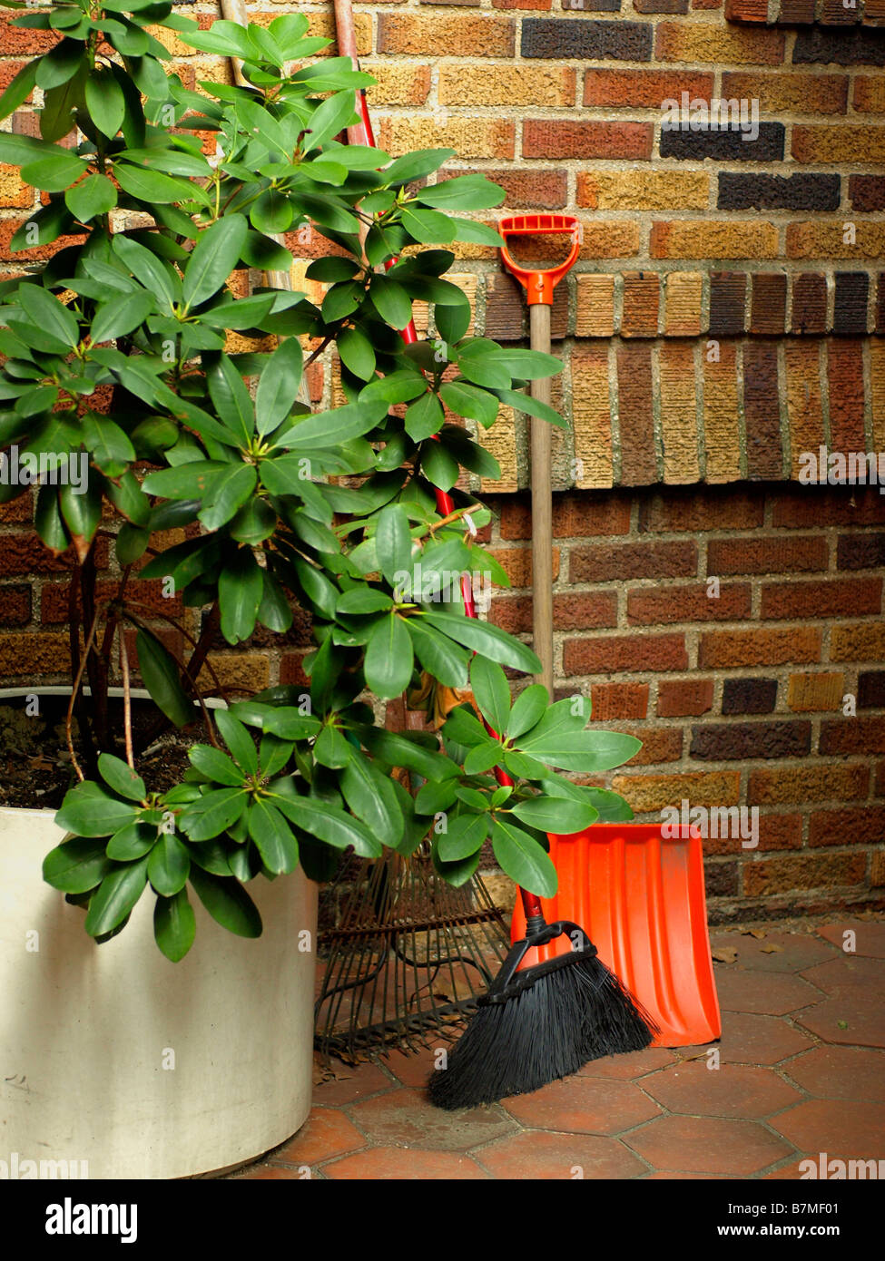 Gardening tools cleaning tools hi-res stock photography and images - Alamy