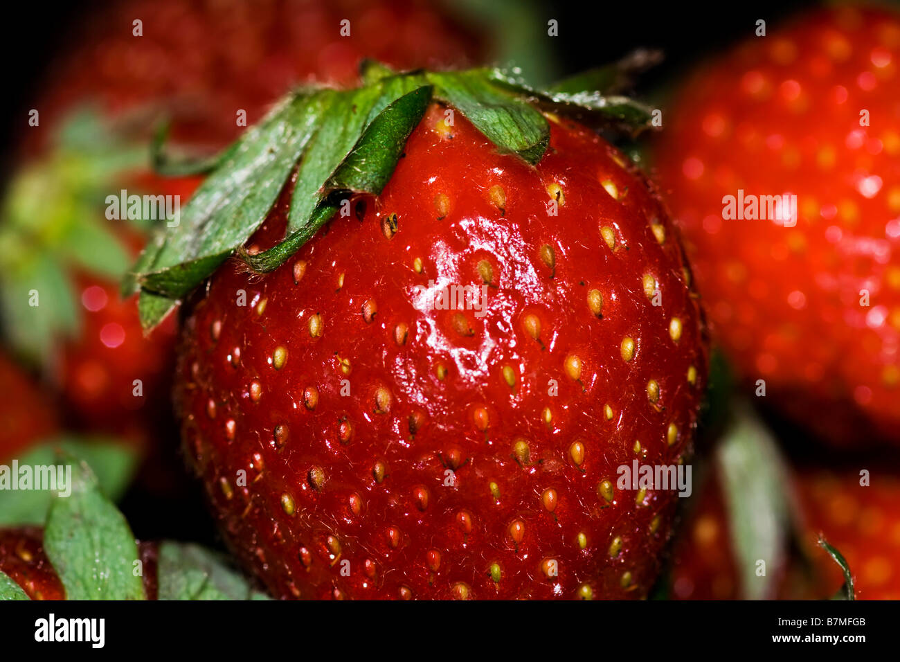 Macro photograph of a Strawberry Stock Photo - Alamy