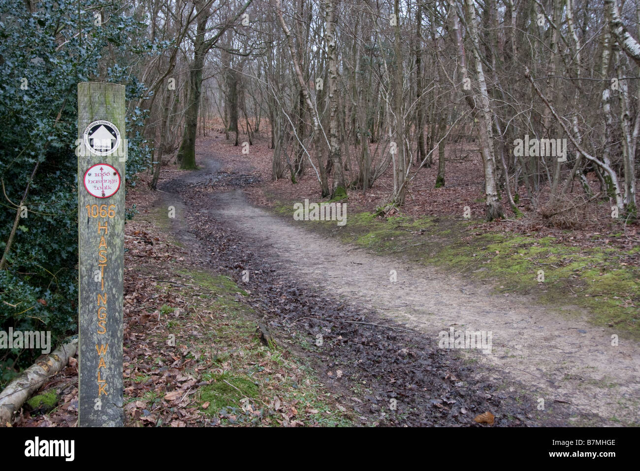 1066 country walk hi-res stock photography and images - Alamy