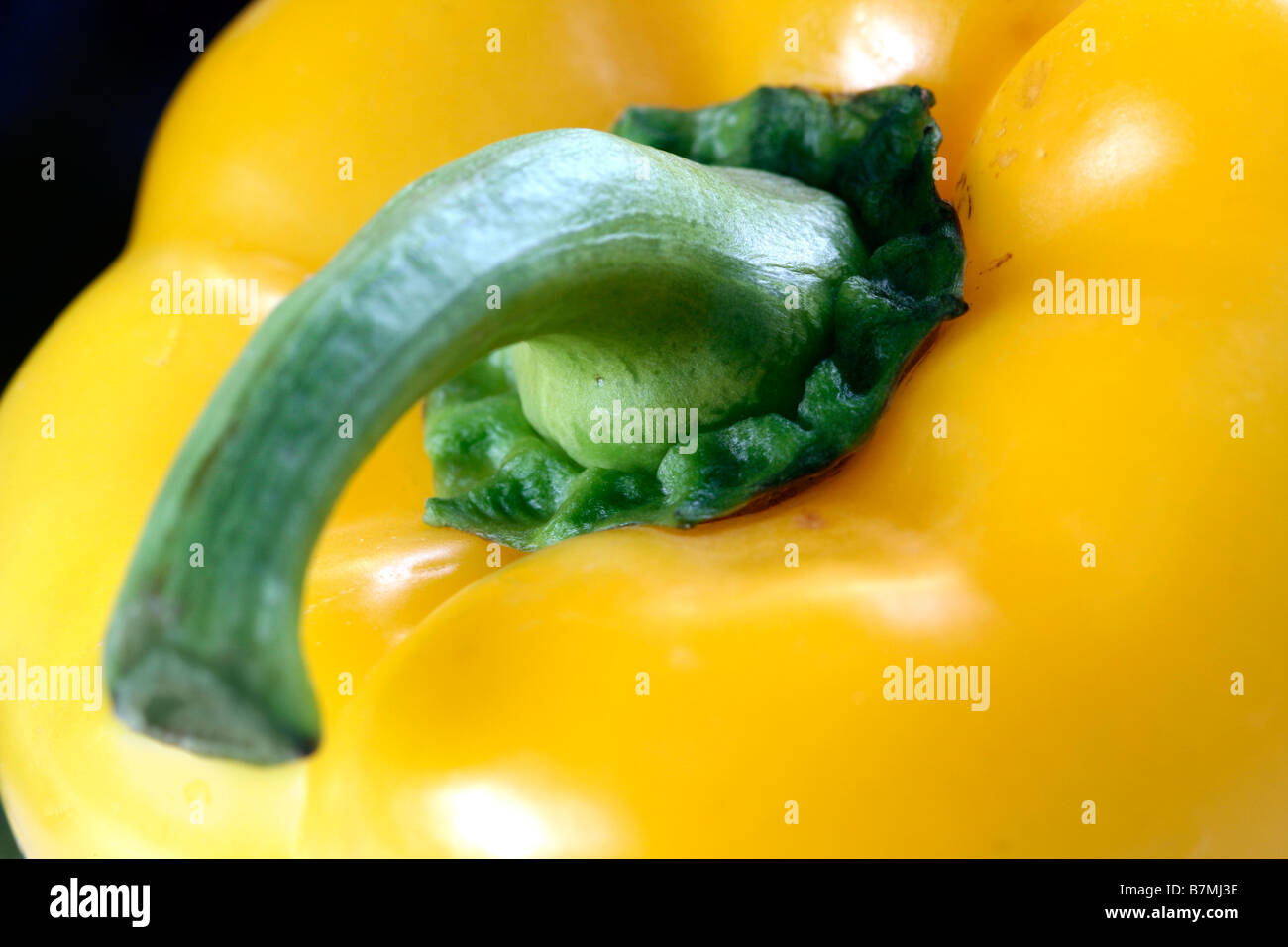 Close-up picture of shiny pepper Stock Photo - Alamy