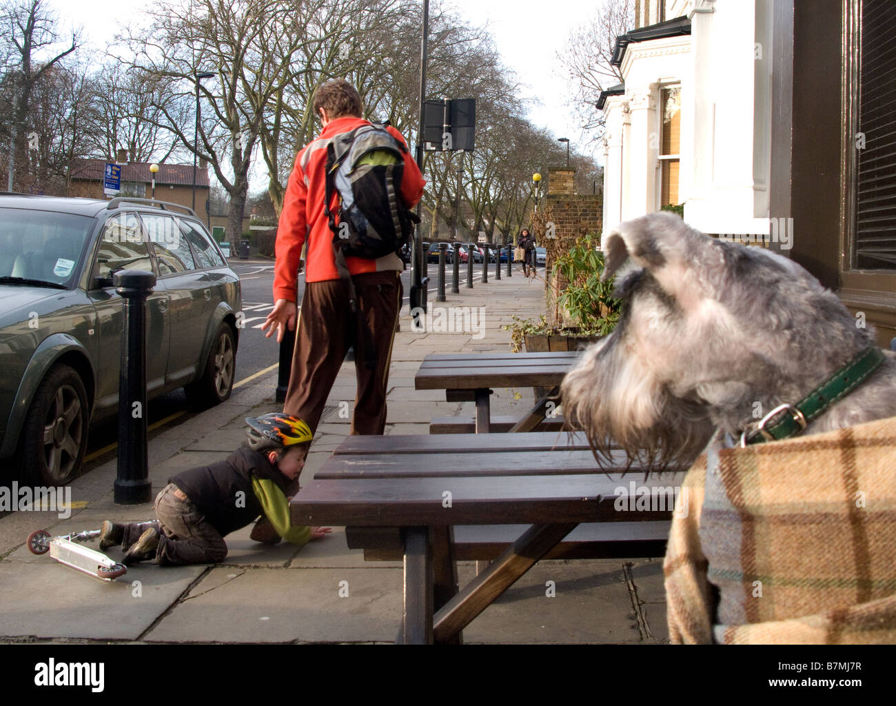 Dog looking at child fallen on pavement Stock Photo - Alamy