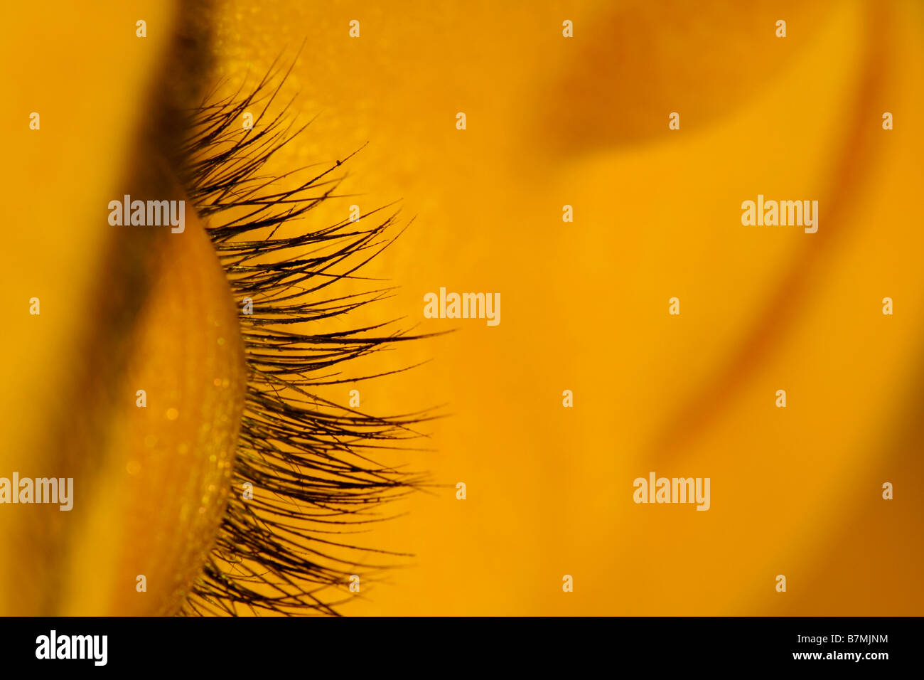 woman face with shut eyes Stock Photo - Alamy