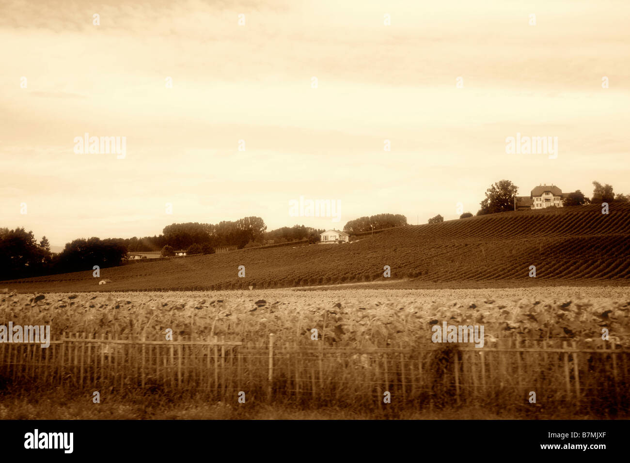 Country landscape view hi-res stock photography and images - Alamy