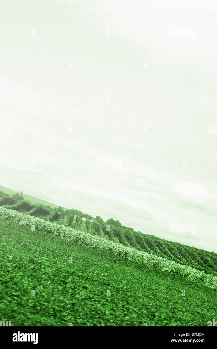 Beautiful country landscape view Great nature scene Stock Photo - Alamy