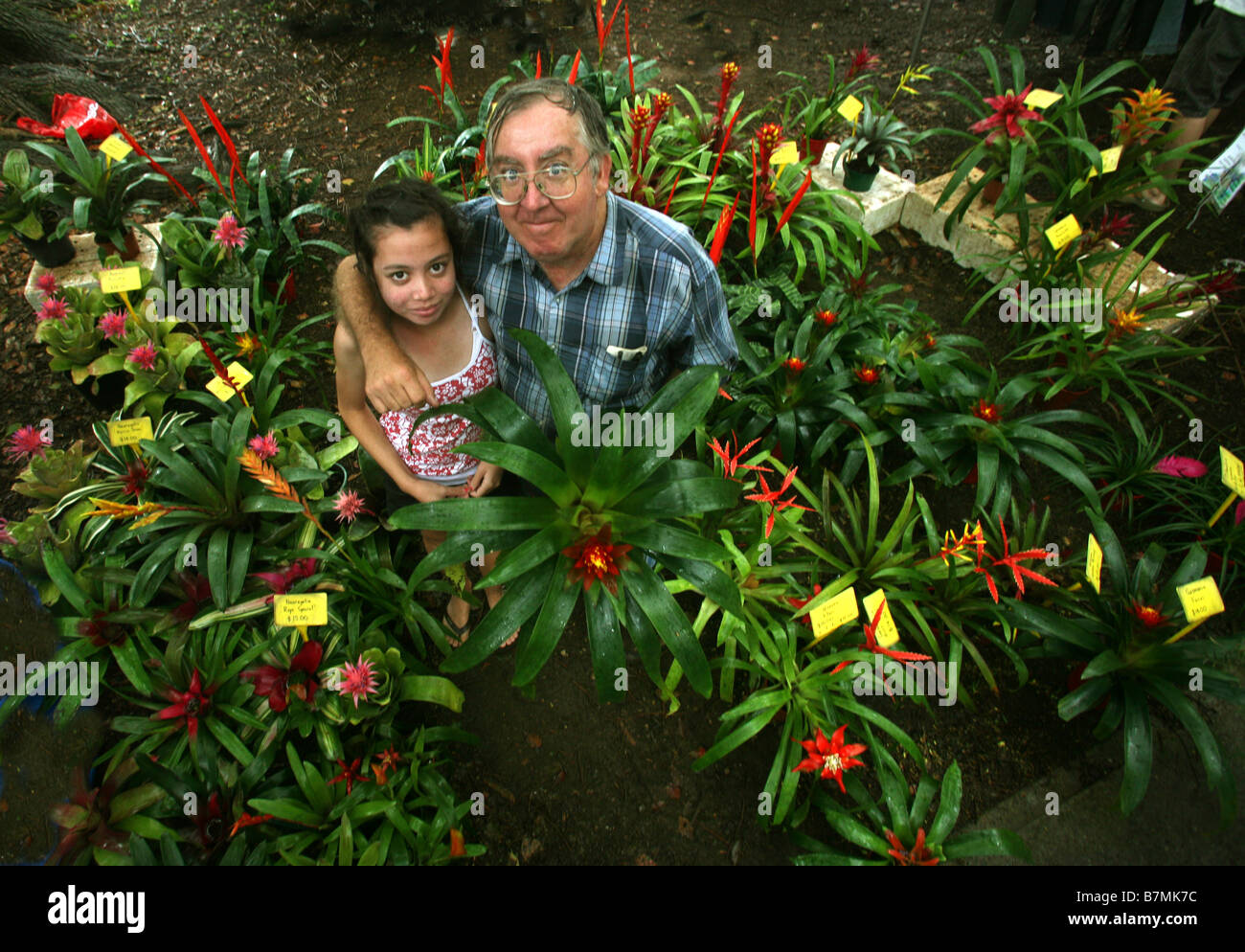 Bangalow markets byron bay hi-res stock photography and images - Alamy