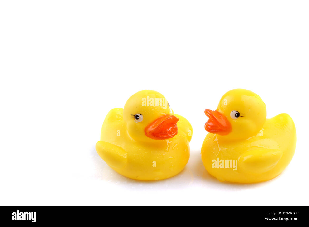 Ducks two toy hi-res stock photography and images - Alamy