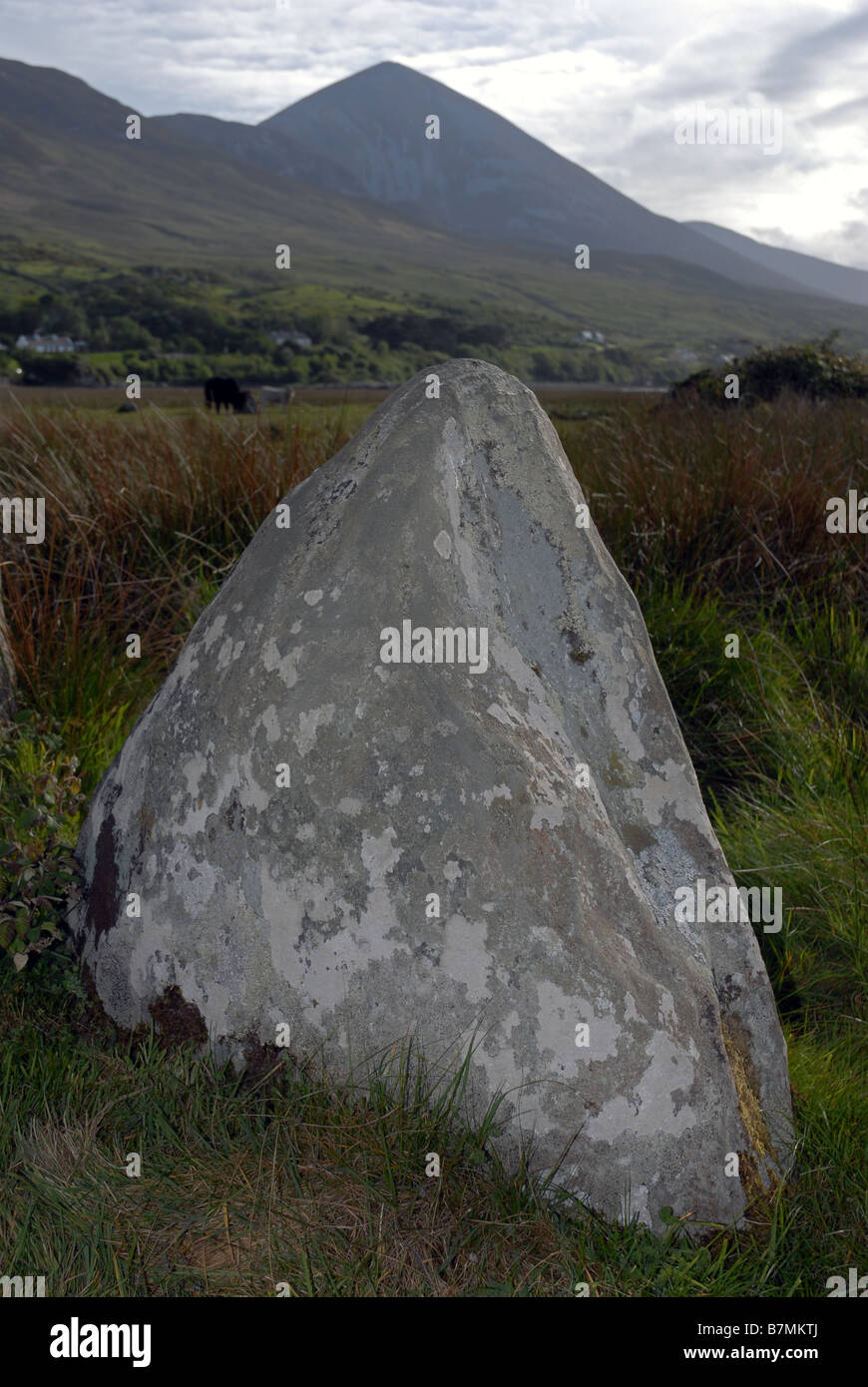 Small standing stone in the foreground of Croagh Patrick, County Mayo ...