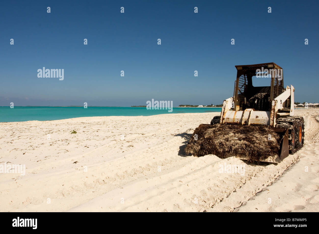 bulldozer collecting seaweed on a tropical beach Stock Photo - Alamy
