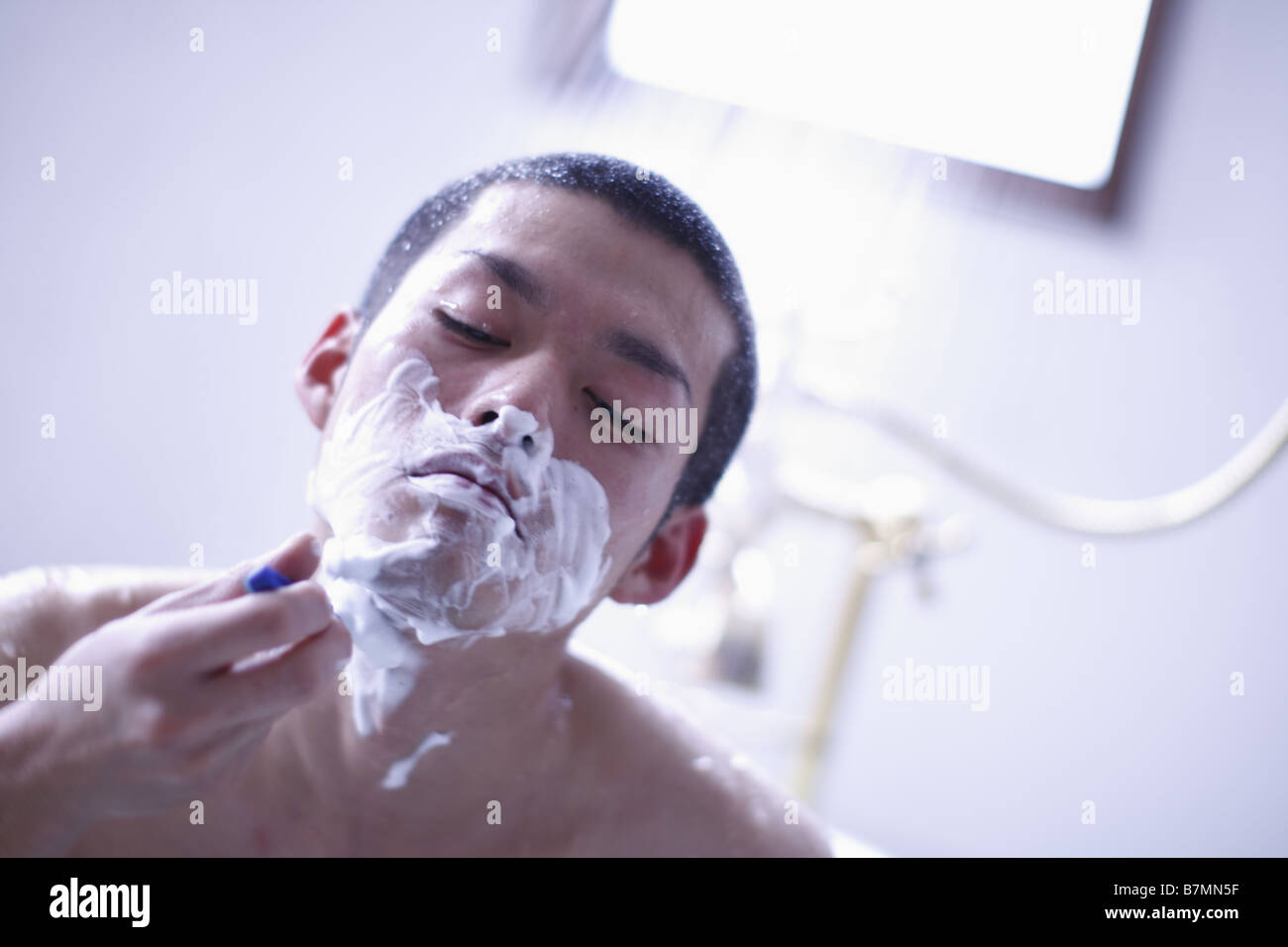 Upper jaw of the face hi-res stock photography and images - Alamy