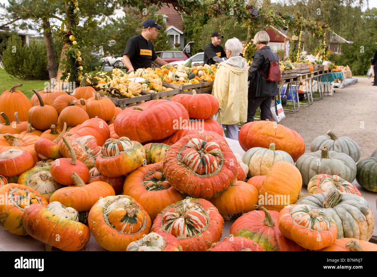 Pumpkins for sale Stock Photo - Alamy