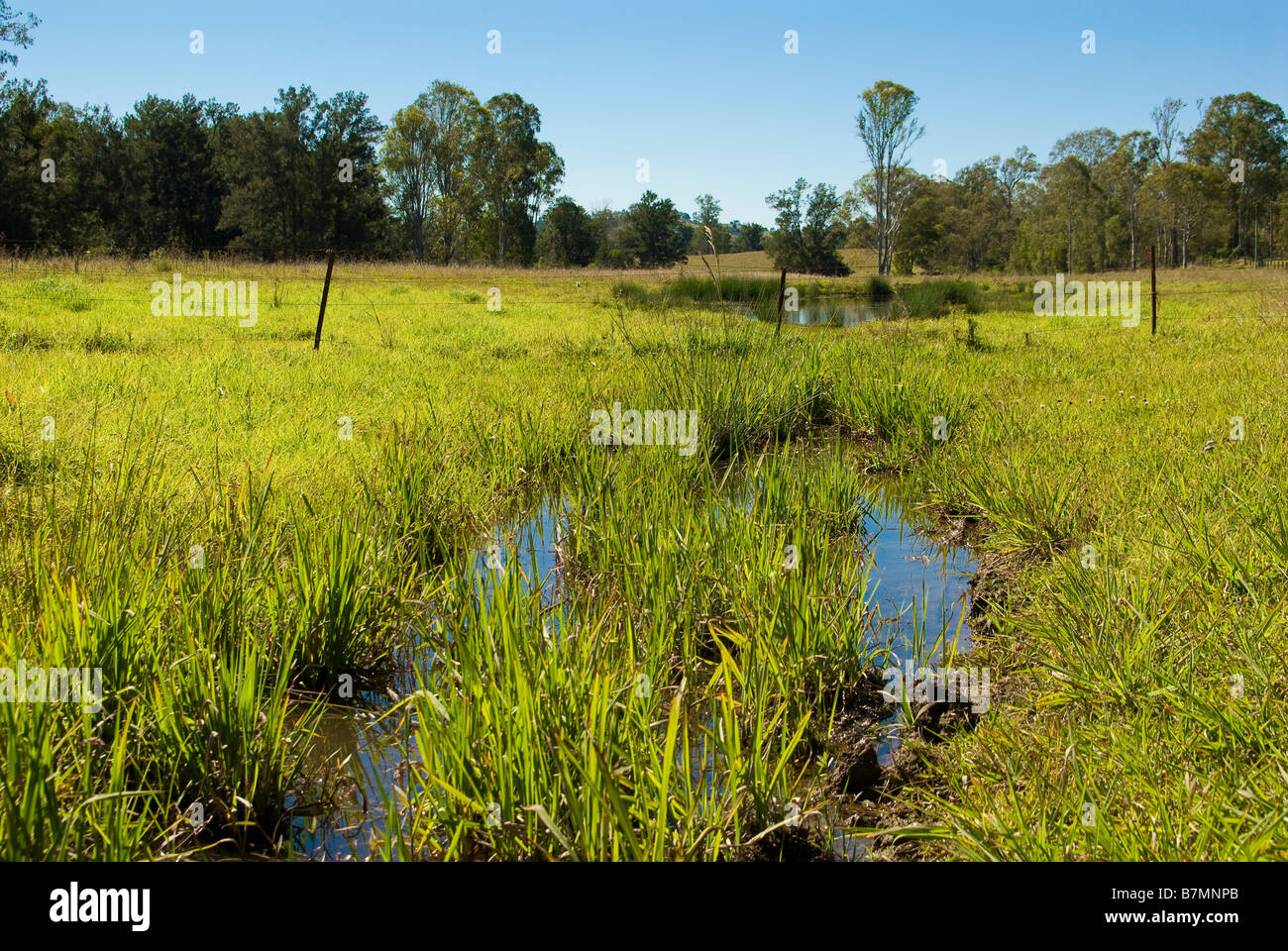 Australian nature landscape hi-res stock photography and images - Alamy