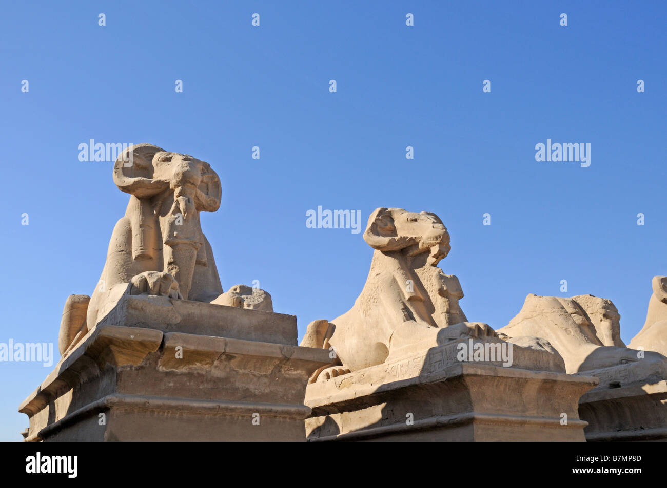 Ram Headed Sphinx at the Temple of Karnak in Egypt Stock Photo - Alamy