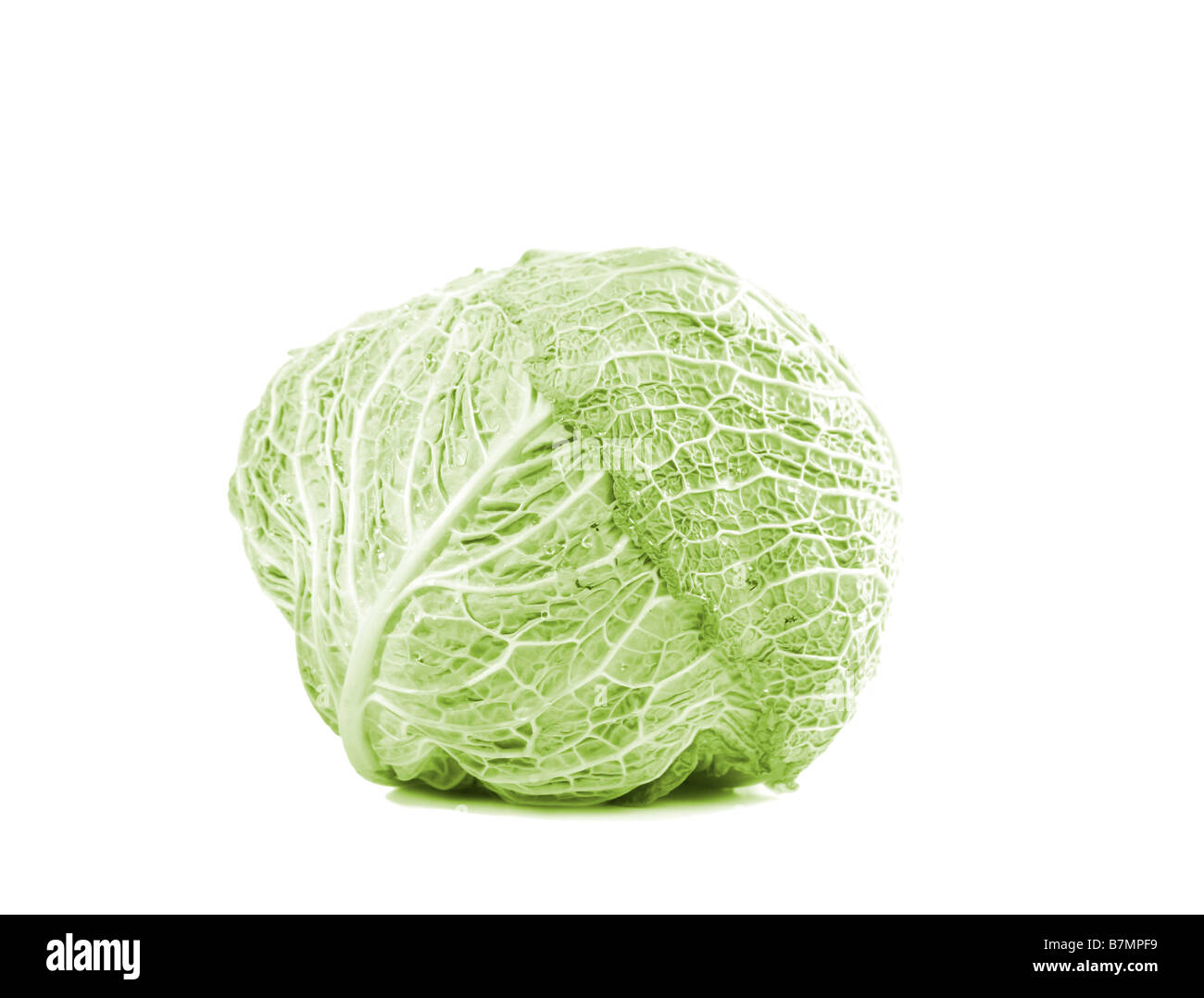 Number one green leaves Cut Out Stock Images & Pictures - Alamy