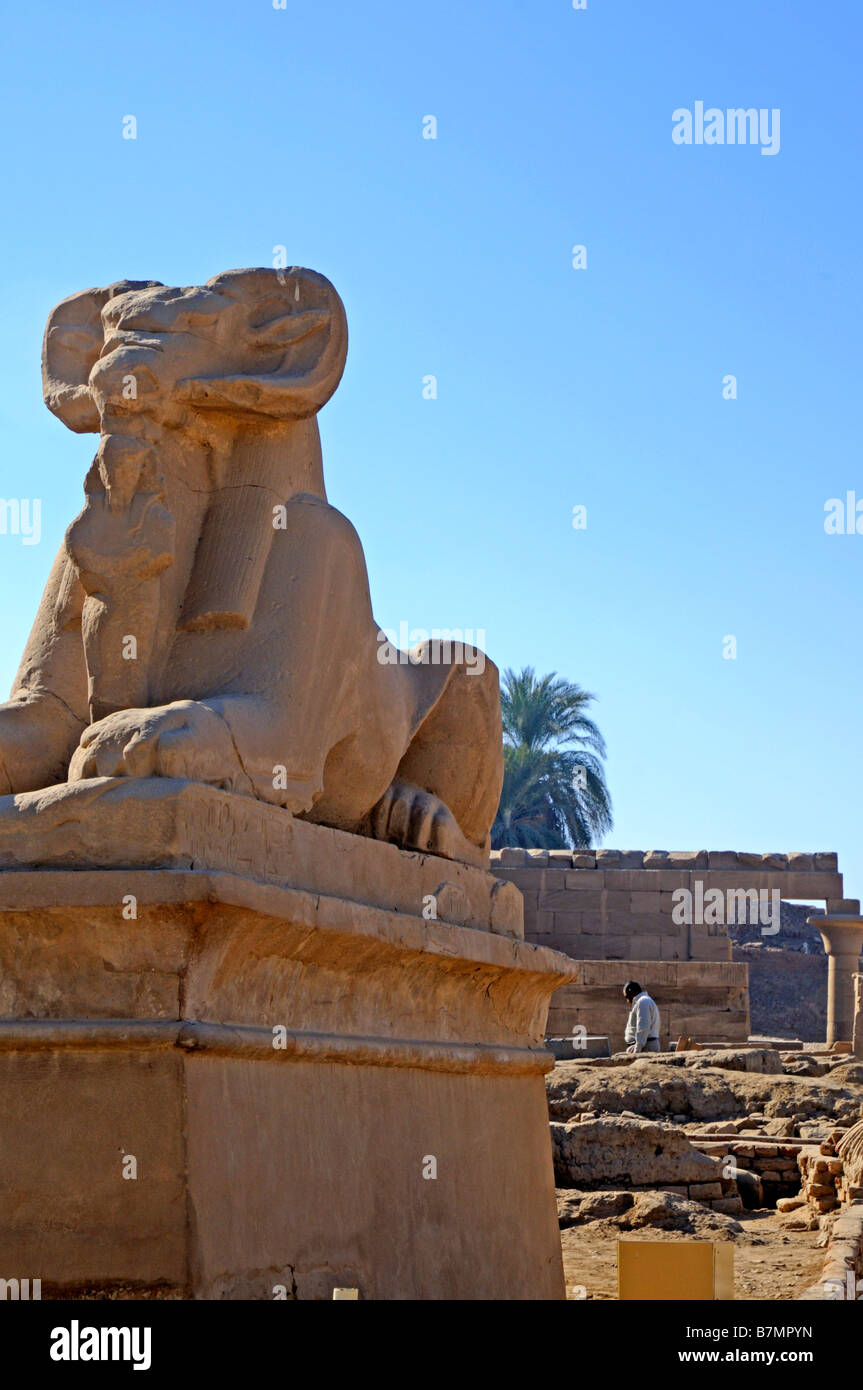 Ram Headed Sphinx at the Temple of Karnak in Egypt Stock Photo - Alamy