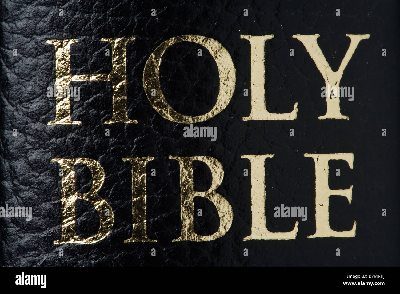 Holy Bible Cover Art
