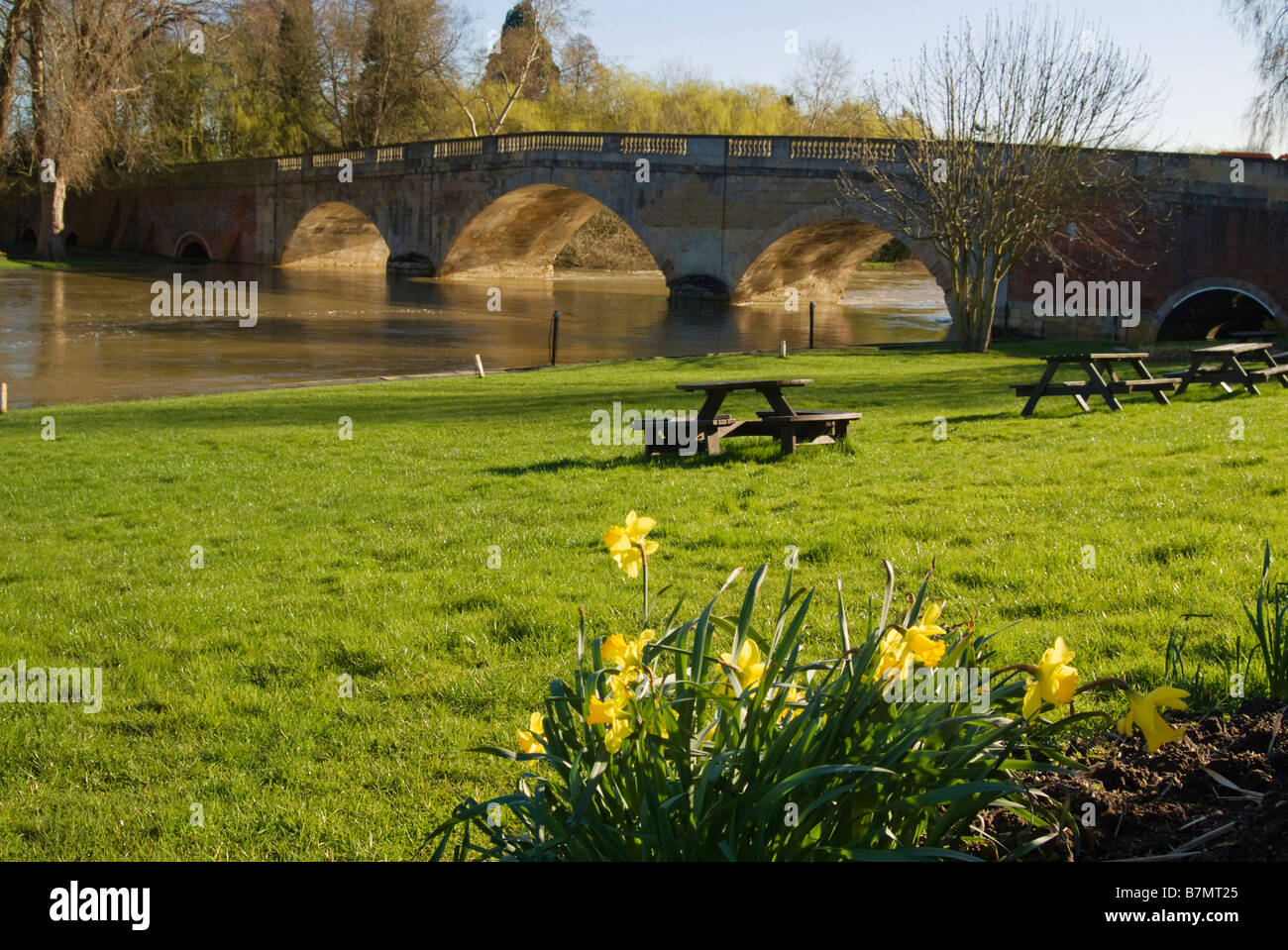Shillingford Bridge in spring Stock Photo - Alamy