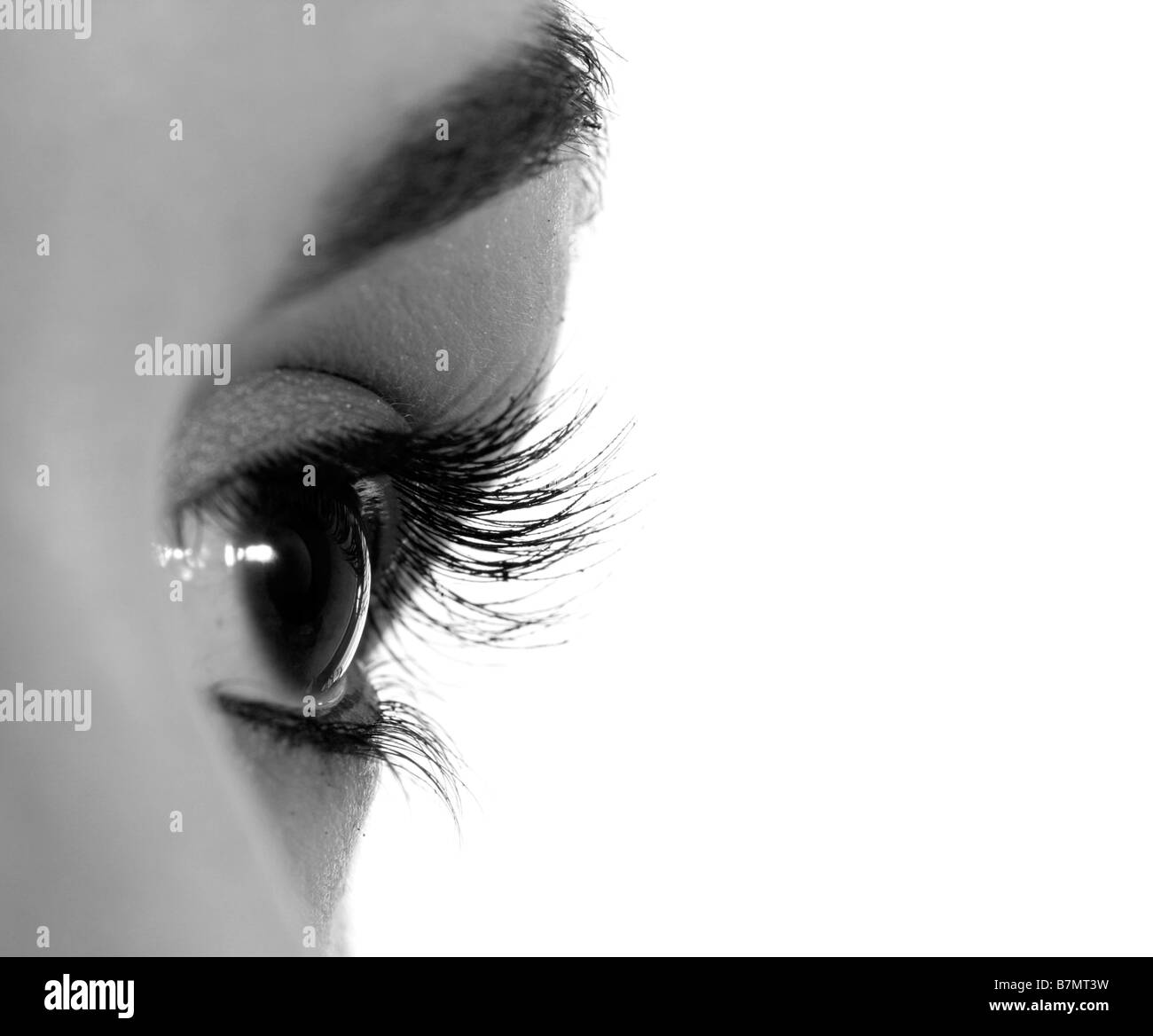 Society expectations Black and White Stock Photos & Images - Alamy