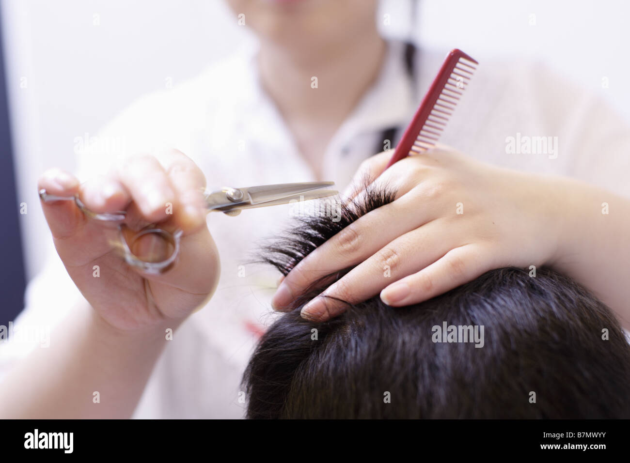 Man Getting Haircut in a Barbershop Stock Photo - Alamy