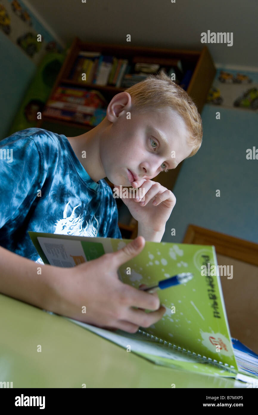 Teenage Boy Studying at Home Stock Photo - Alamy