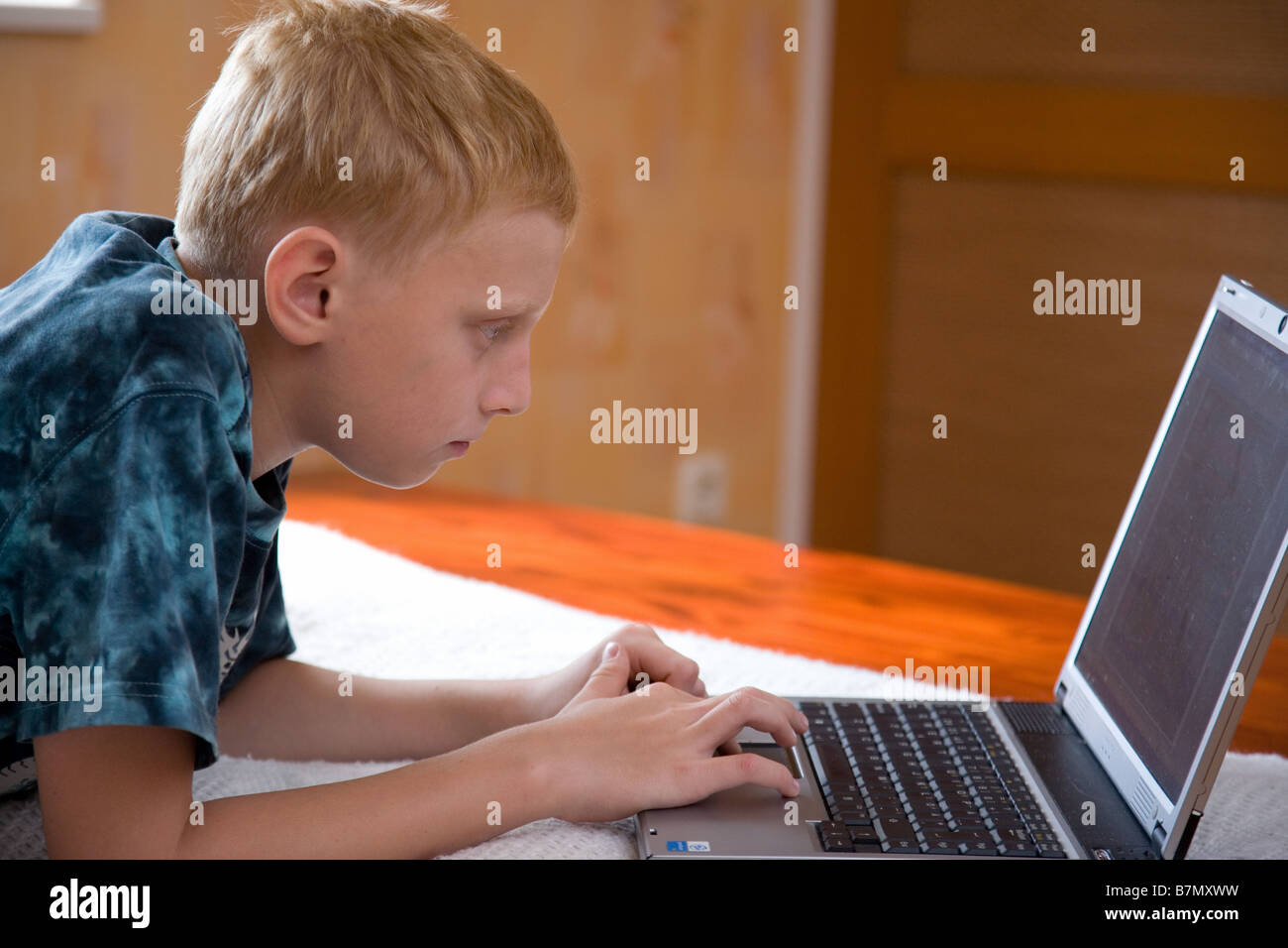 Teenage Boy Using Computer Stock Photo - Alamy