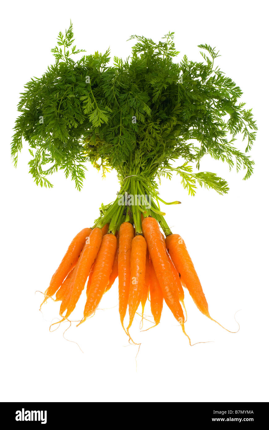 Bunch carrots on on white hi-res stock photography and images - Alamy