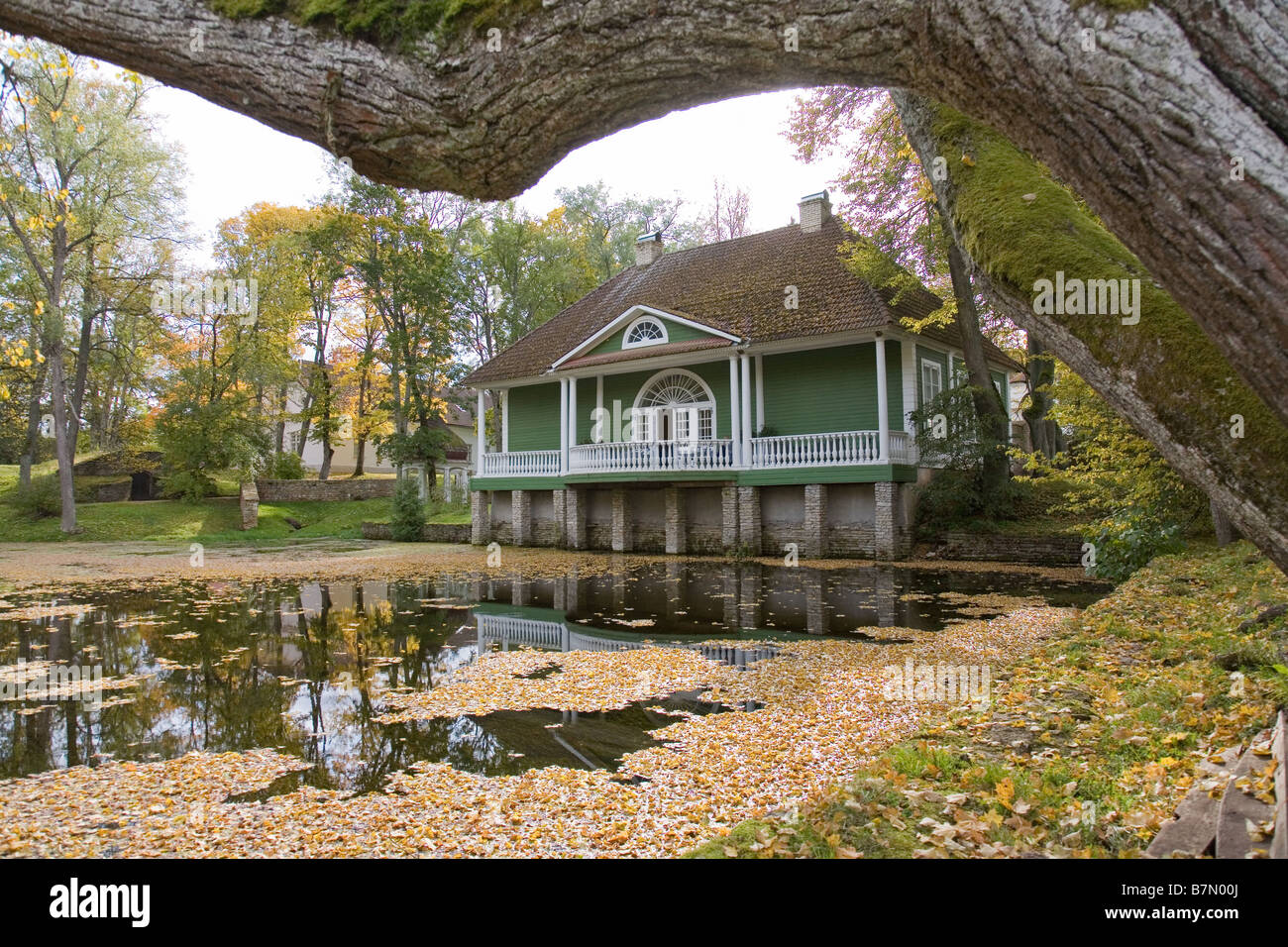 Isabella tree hi-res stock photography and images - Alamy