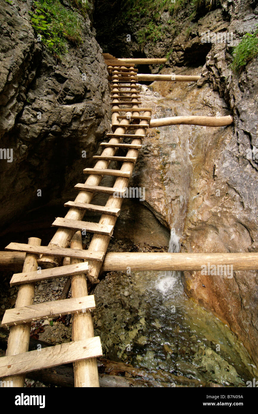 Wooden Ladders - walk in Gorge Sucha bela Slovak paradise, Slovakia ...