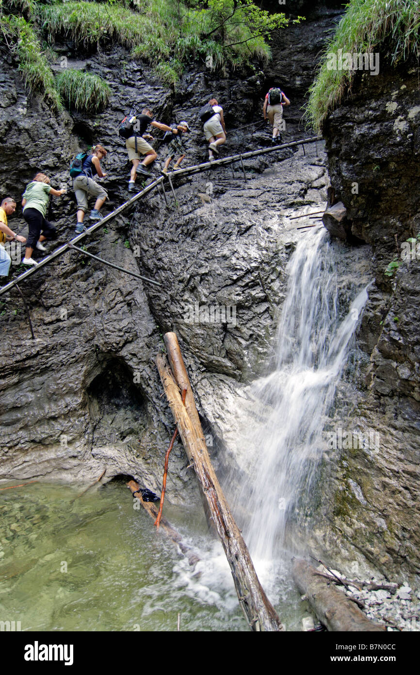Tourists on ladder in Gorge Sucha bela, Slovak paradise, Slovakia Stock ...