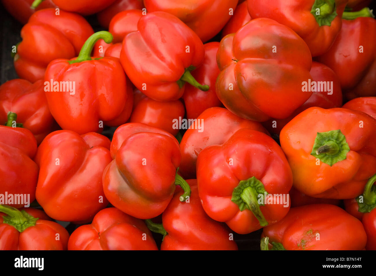 Red peppers bunch hi-res stock photography and images - Alamy