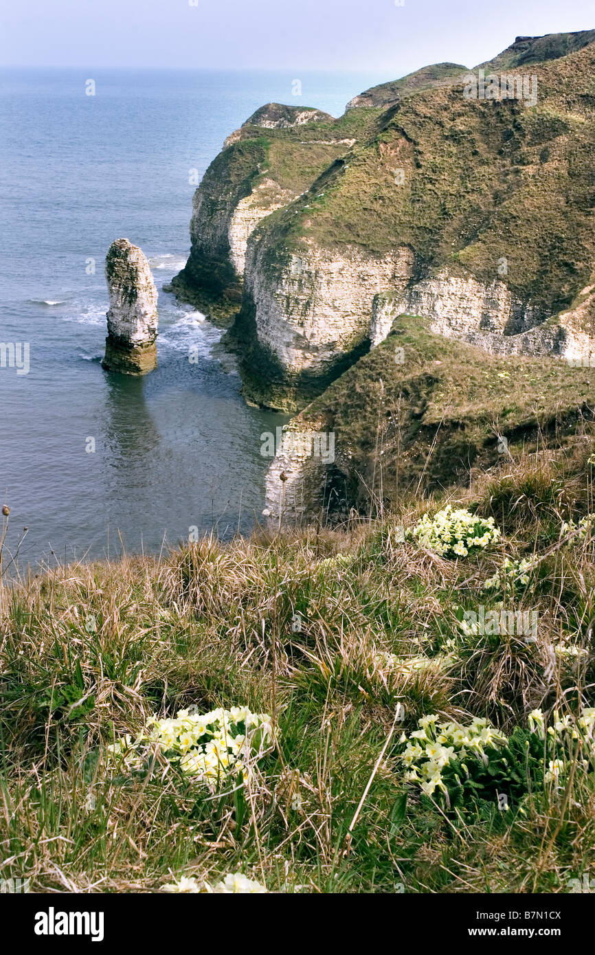 East coast east riding england flamborough coast coastal hi-res stock ...