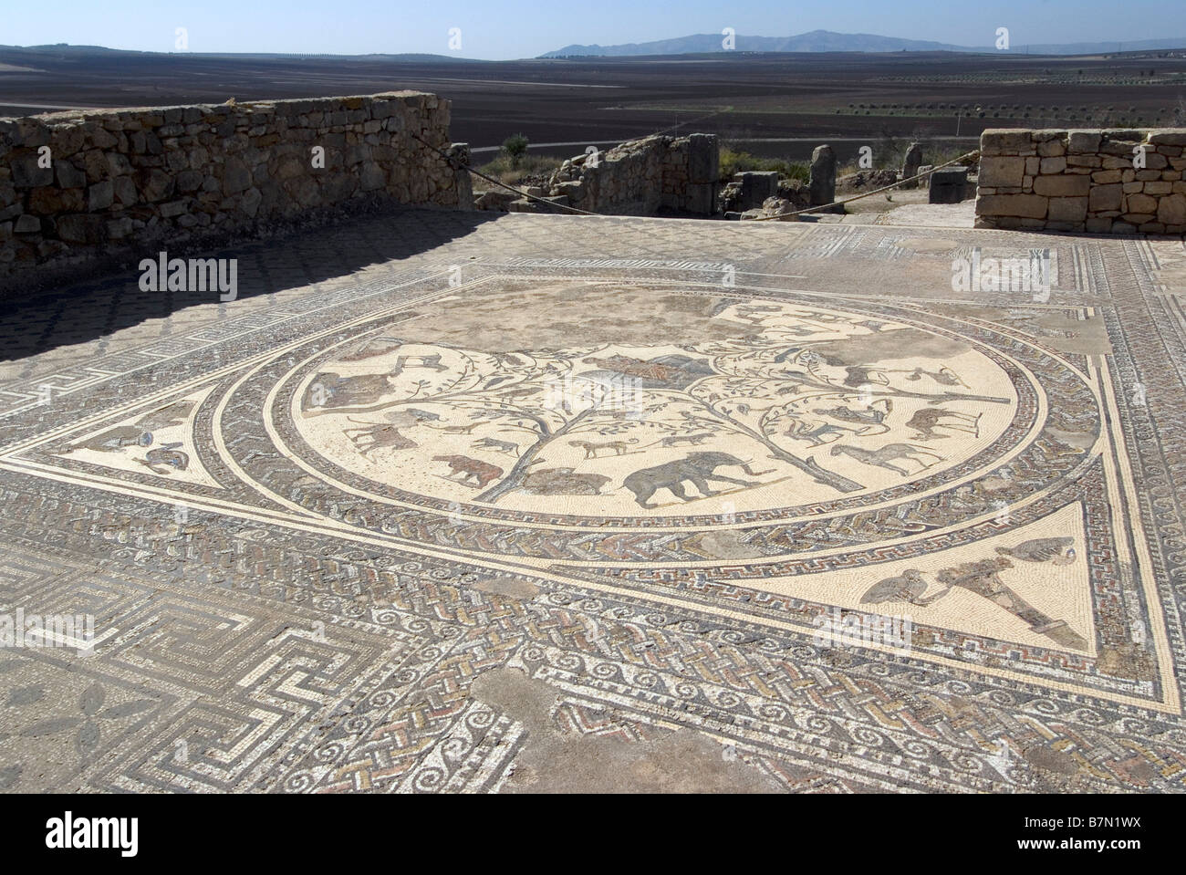 House of orpheus hi-res stock photography and images - Alamy