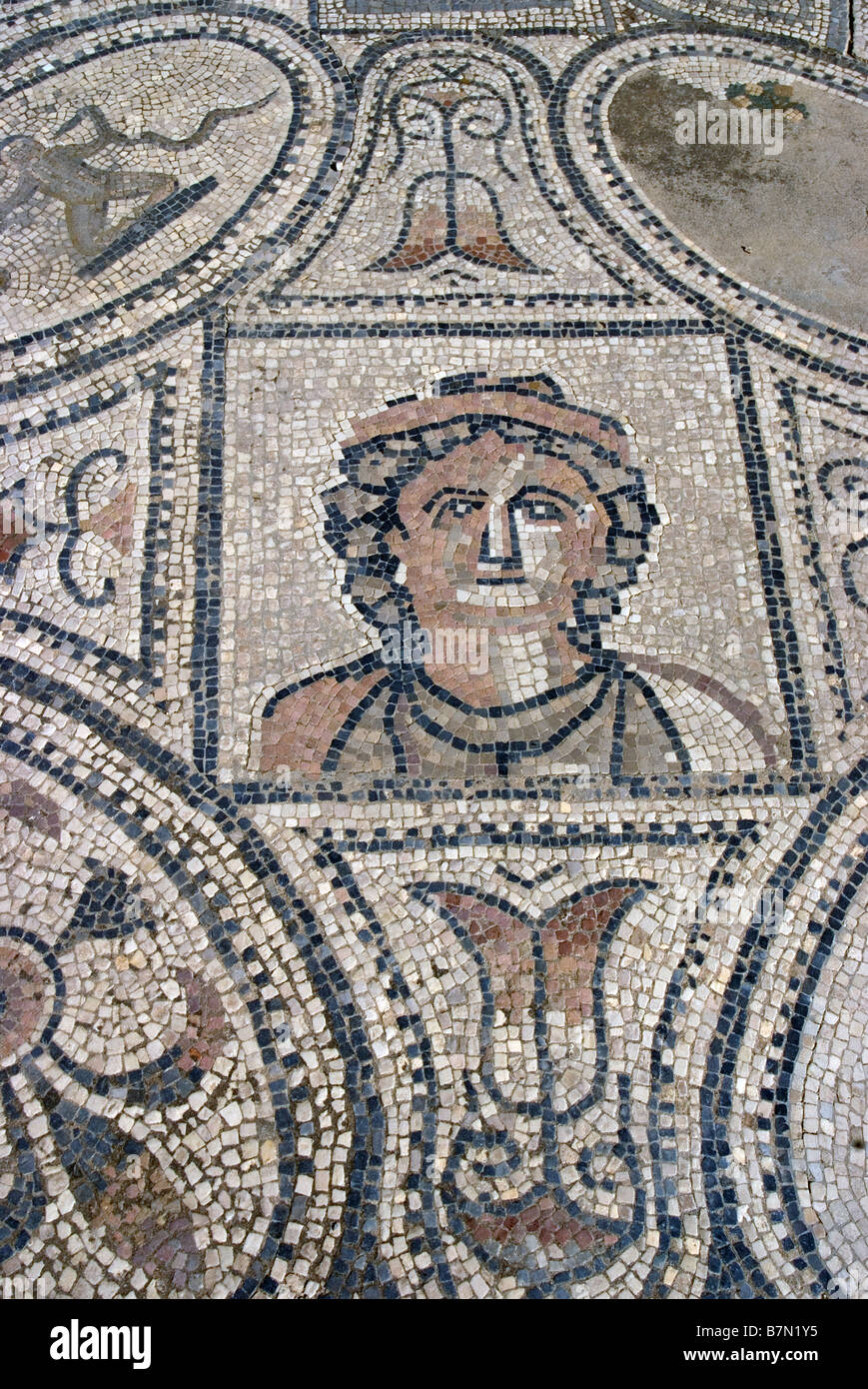 Labours hercules mosaic hi-res stock photography and images - Alamy