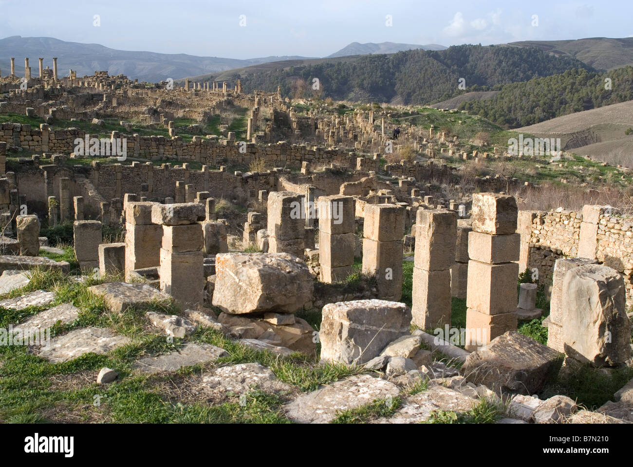 Overview Roman site of Djemila Algeria Stock Photo - Alamy