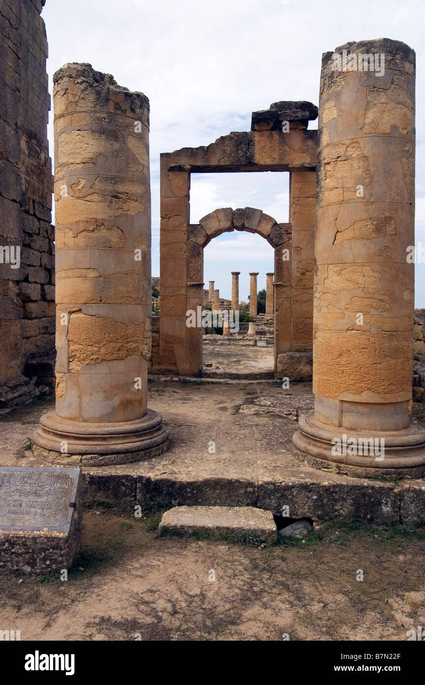 Apollo Of Cyrene High Resolution Stock Photography and Images - Alamy