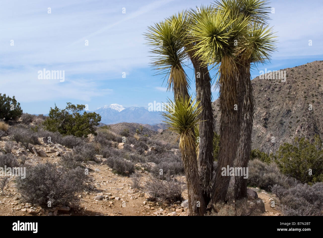 Keys view joshua tree hi-res stock photography and images - Alamy