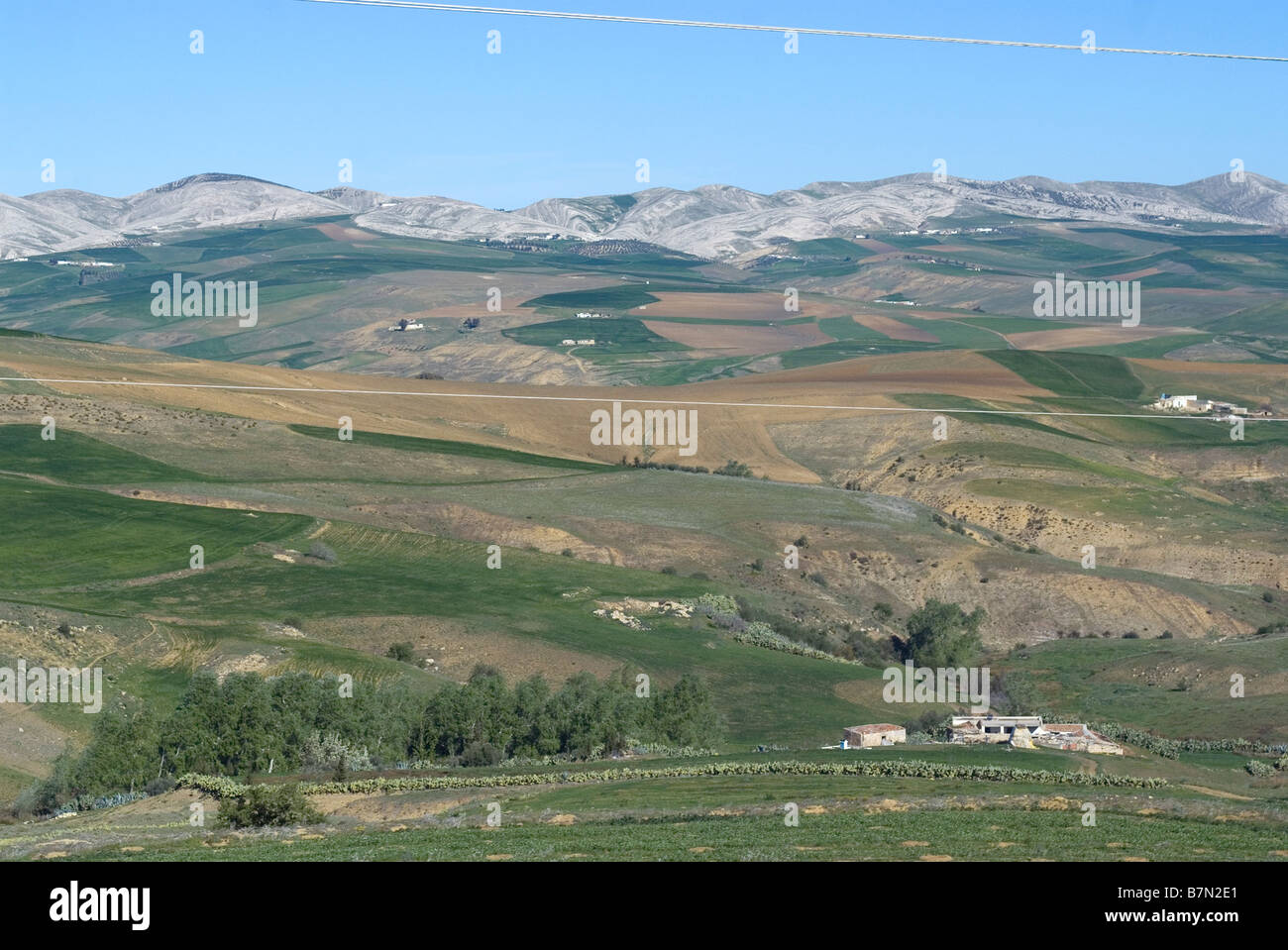Battle of zama hi-res stock photography and images - Alamy