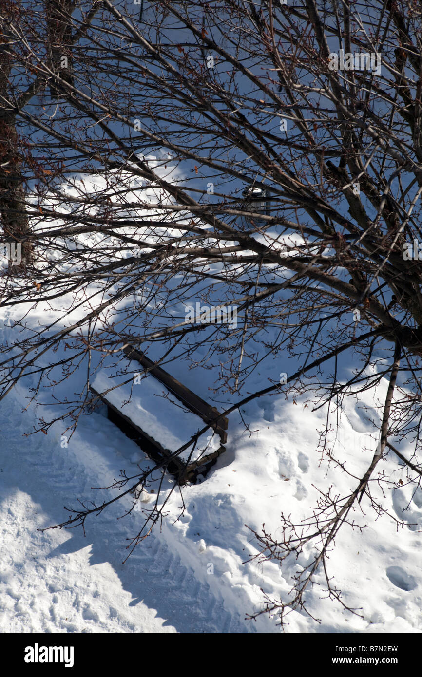 Snowy bench at the park Stock Photo - Alamy