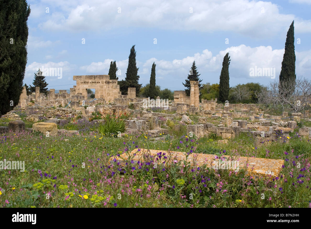 Ruins of the Punic Roman site of Utica Tunisia Stock Photo - Alamy