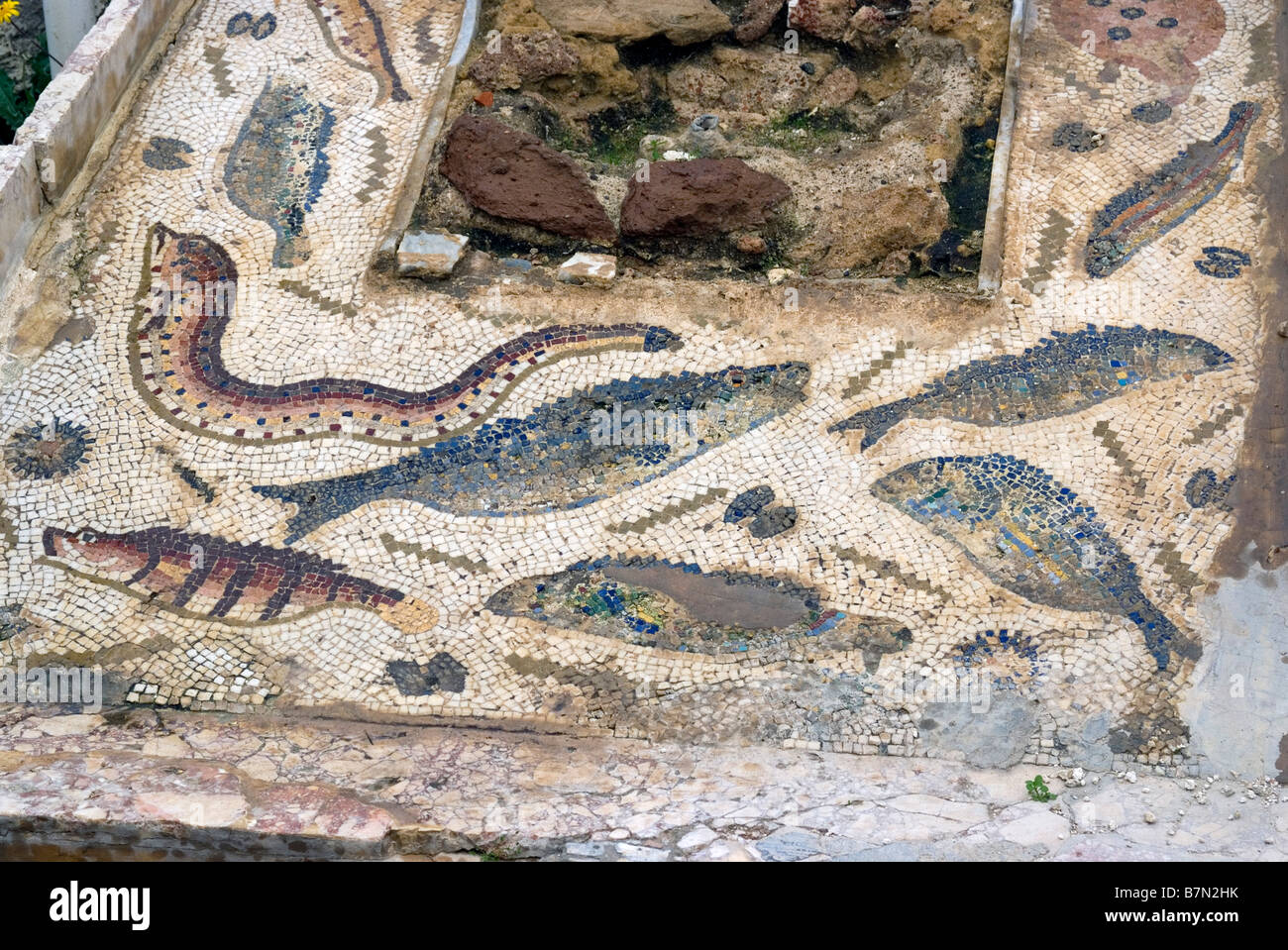 Fountain discovered at the Punic Roman site of Utica Tunisia Stock ...