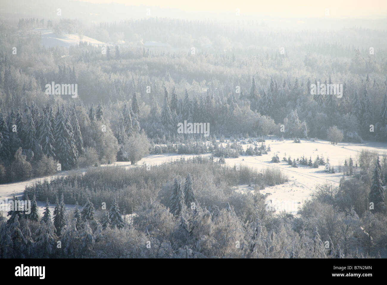 Areal scenic view of a snowy forest in Haanja, Estonia Stock Photo - Alamy